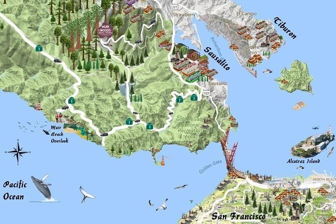 Half-Day Private Tour of Muir Woods & Sausalito from San Francisco - Why Choose This Tour?