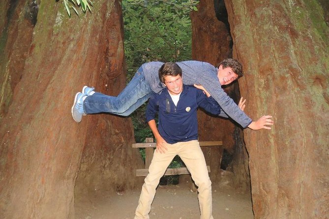 Half-Day Private Tour of Muir Woods & Sausalito from San Francisco - Deep Dive Into the Itinerary