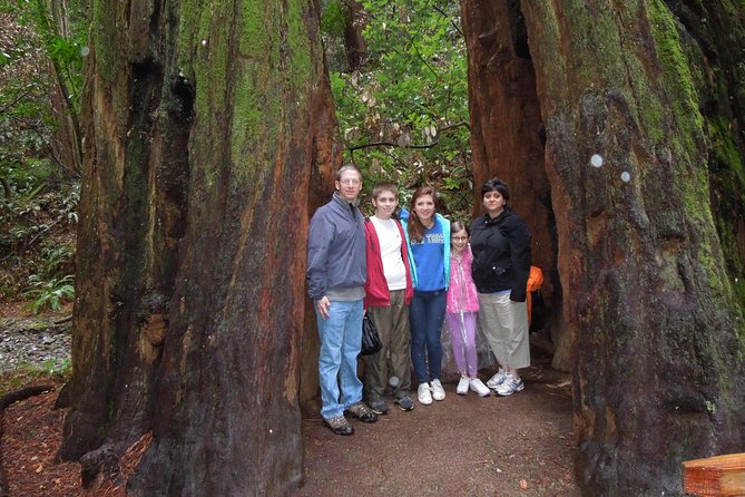 Half-Day Private Tour of Muir Woods & Sausalito from San Francisco - The Sum Up