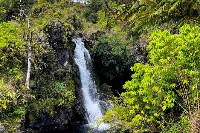Half Day Private VIP Road to Hana Tour - Final Thoughts: Is This Tour Right for You?