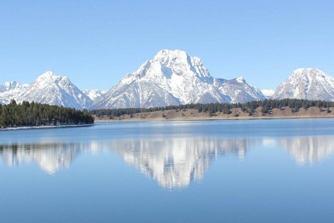 Half Day Private Winter Wildlife Tours in Jackson Hole - Who Should Book This Tour?