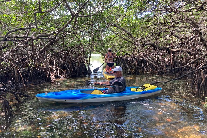 Half Day Rental to John's Pass Sandbar & Mangrove Tunnel - Key Points
