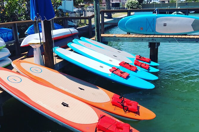 Half Day Rental to John's Pass Sandbar & Mangrove Tunnel - Authentic Experiences from Reviewers