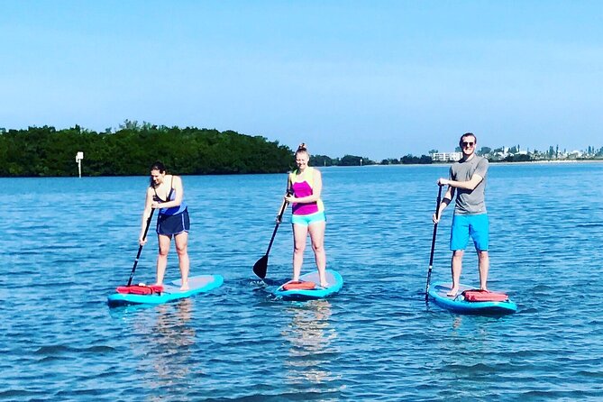 Half Day Rental to John's Pass Sandbar & Mangrove Tunnel - Who Should Book This Experience?