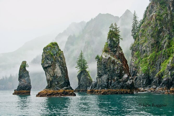Half-day Resurrection Bay & Wildlife Tour from Seward - Key Points