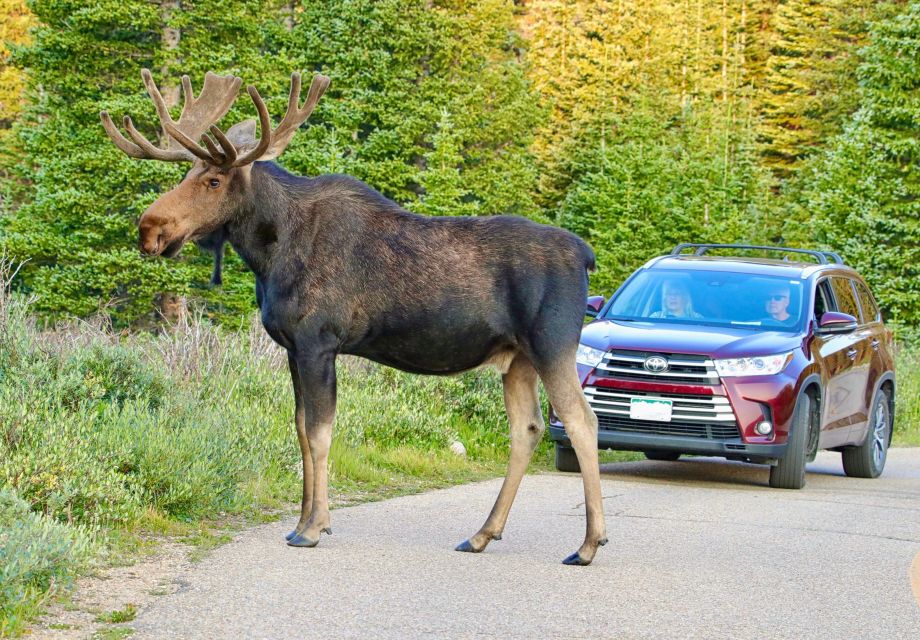 Half-Day RMNP Lakes and Meadows Tour-RMNPhotographer - Practical Details and Value