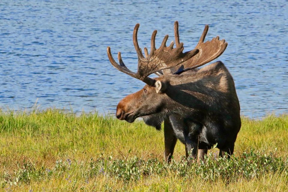 Half-Day RMNP Lakes and Meadows Tour-RMNPhotographer - Frequently Asked Questions