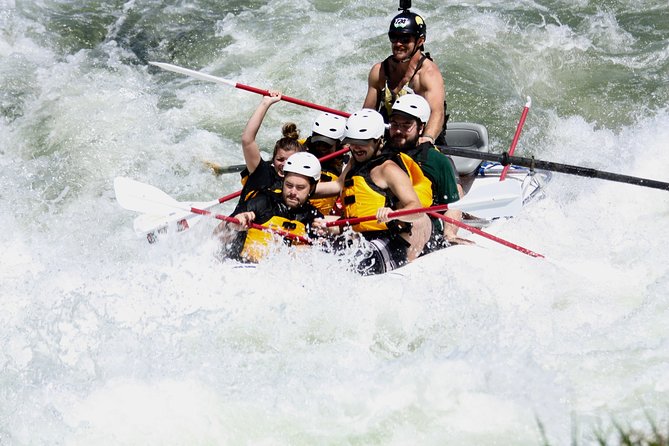 Half Day Rogue River White Water (Class I- IV) - Practical Aspects: Booking, Price, and Group Size