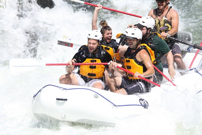 Half Day Rogue River White Water (Class I- IV) - What to Expect on the Day