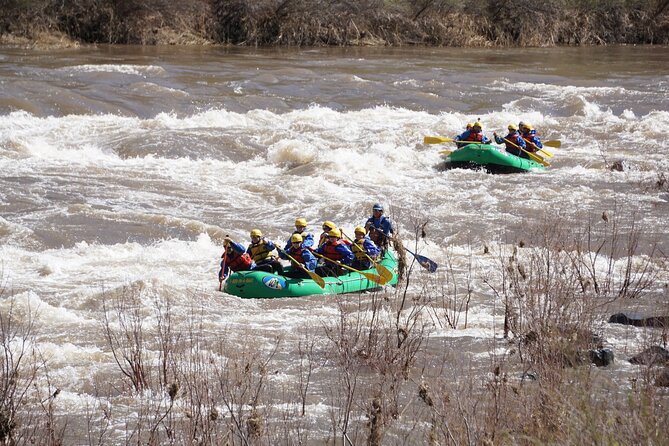 Half-Day Salt River Whitewater Rafting - Authentic Experience and Review Highlights