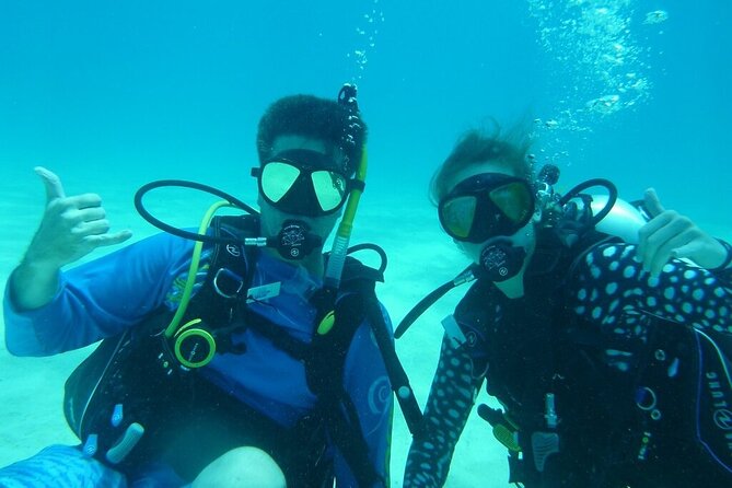 Half Day Scuba Diving Trip in the Florida Keys - Pricing and Value