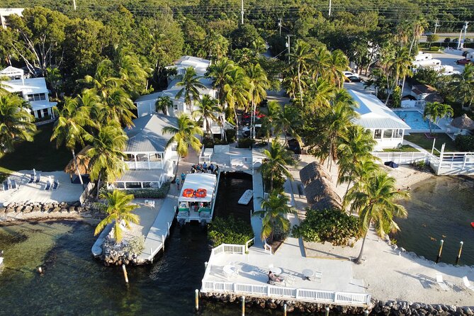 Half-Day Small-Group 2-Tank Scuba Dive in Key Largo (CERTIFIED DIVERS ONLY) - What Reviewers Love Most