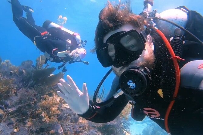 Half-Day Small-Group 2-Tank Scuba Dive in Key Largo (CERTIFIED DIVERS ONLY) - Who Will Love This Experience?