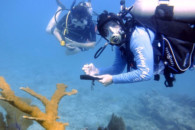 Half-Day Small-Group 2-Tank Scuba Dive in Key Largo (CERTIFIED DIVERS ONLY) - FAQ