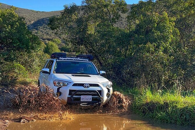 Half-Day Small Group Offroad 4x4 Truck Tour in San Diego - Who Should Consider This Tour?