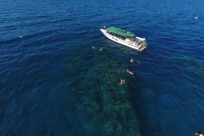 Half Day Snorkel to Lanai from Kaanapali Beach + Dolphin Search - The Itinerary in Detail