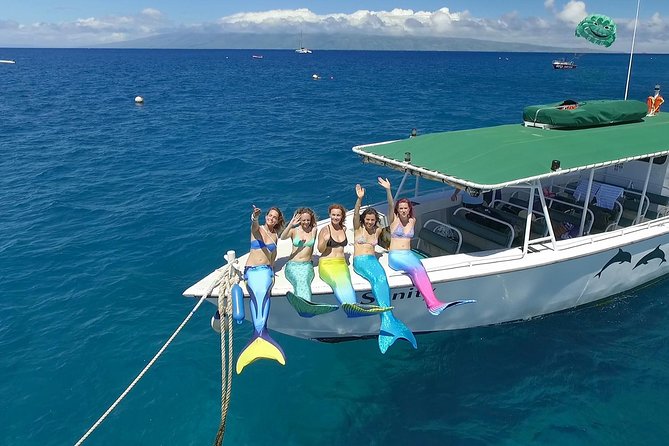 Half Day Snorkel to Lanai from Kaanapali Beach + Dolphin Search - Who Is This Tour Best For?