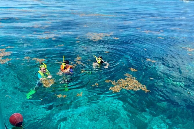 Half Day Snorkel Trip on Reefs in the Florida Keys - Analyzing the Value