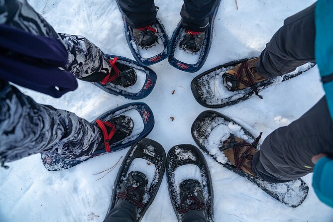 Half Day Snowshoe Hike in Tahoe National Forest - FAQ