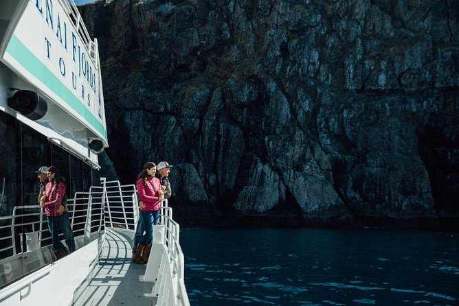 Half day Spring Resurrection Bay & Wildlife Tour from Seward - An In-Depth Look at the Experience