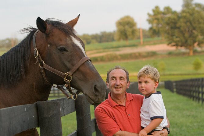 Half-Day Thoroughbred Horse Farm Tour in Kentucky - An In-Depth Look at the Kentucky Thoroughbred Experience