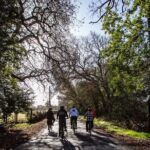 Half Day Tour - The Itinerary Breakdown