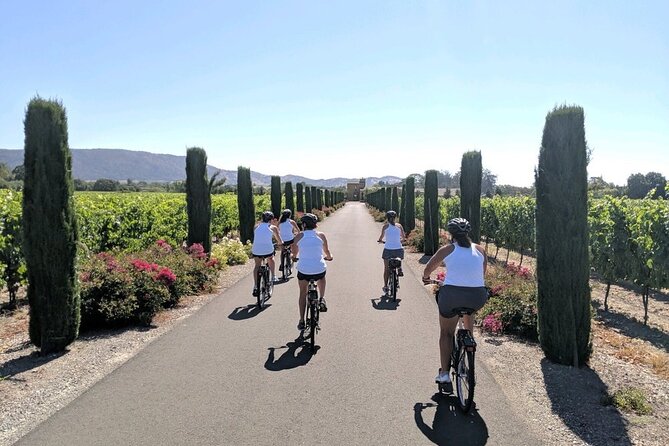 Half Day Tour - Pricing & Value