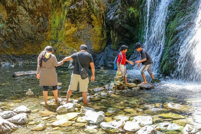 Half Day Tour to Faery Waterfalls, Castle Lake and Mount Shasta - Key Points