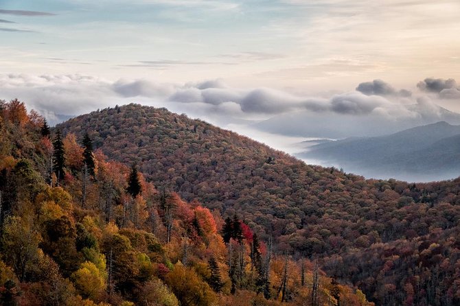 Half-Day Tour With Instruction in Vistas & Waterfall Photography - Pricing and Value  