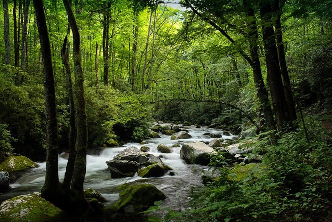 Half-Day Tour With Instruction in Vistas & Waterfall Photography - The Sum Up  