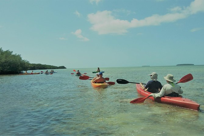 Half-Day Trip from Key West with Kayaking, Snorkeling & Sunset - The Value of This Experience