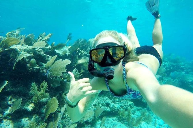 Half-Day Trip from Key West with Kayaking, Snorkeling & Sunset - Who Will Love This Tour?