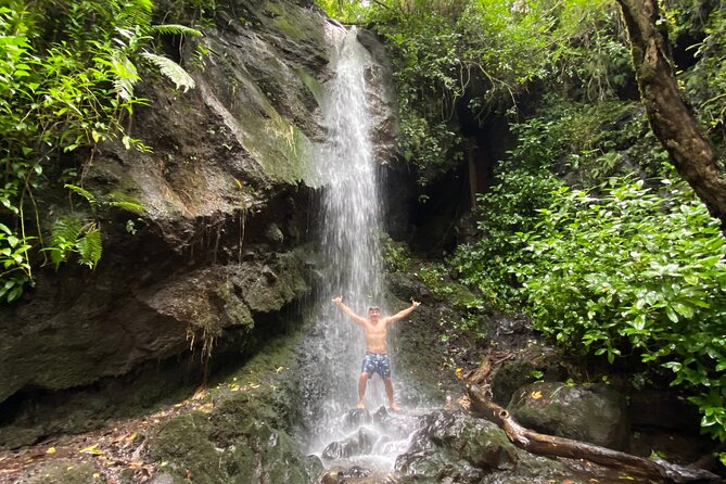 Half-Day Waterfall Tour - Hike, Scenic, Food and Photo - Exploring the Half-Day Waterfall Tour in Honolulu: A Genuine Adventure