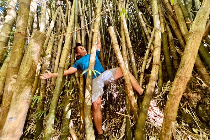 Half-Day Waterfall Tour - Hike, Scenic, Food and Photo - Key Points