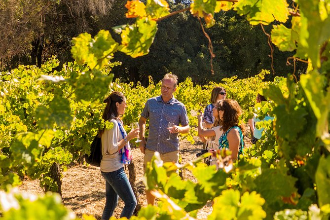 Half-Day Wine Country Tour from San Francisco - The Practical Details