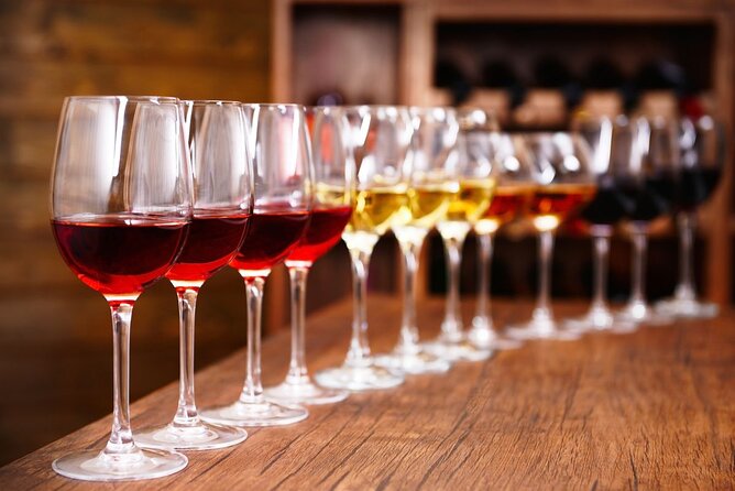 Half-Day Wine Tastings in the North Georgia Mountains - Key Points