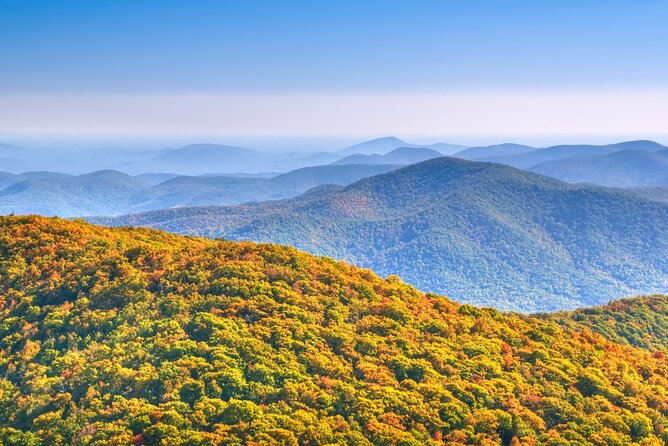 Half-Day Wine Tastings in the North Georgia Mountains - An In-Depth Look at the Tour Itinerary