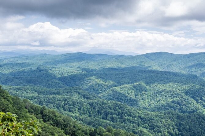 Half-Day Wine Tastings in the North Georgia Mountains - Authentic Insights from Reviewers