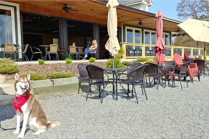 Half-Day Wine Tastings in the North Georgia Mountains - Who Should Consider This Tour?