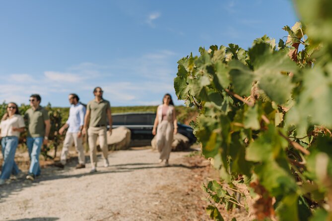 Half Day Wine Tour Around Evora - Key Points