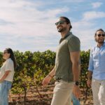 Half Day Wine Tour Around Evora - An In-Depth Look at the Experience