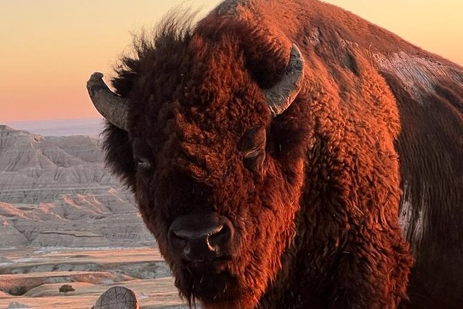 Half-Day Wonders: Rushmore, Custer, and Crazy Horse - FAQ