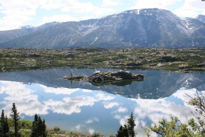 Half Day Yukon Suspension Bridge & Summit Tour - Key Points