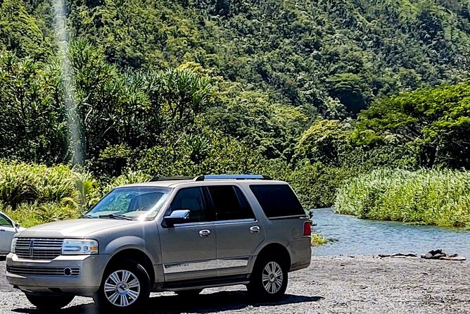 Halfway to Hana Private Tour Maui BlackBeach Waterfalls Turtles - Introduction