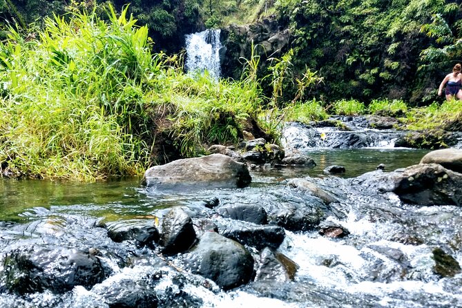 Halfway to Hana Private Tour Maui BlackBeach Waterfalls Turtles - An Authentic Maui Adventure