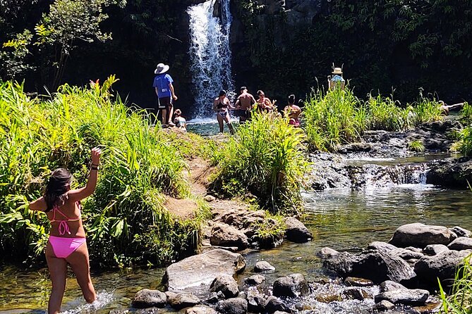 Halfway to Hana Private Tour Maui BlackBeach Waterfalls Turtles - Who Should Consider This Tour?