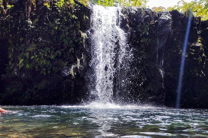Halfway to Hana Private Tour Maui BlackBeach Waterfalls Turtles - FAQ