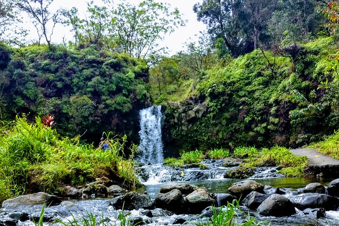 Halfway to Hana Tour of Maui Black Sand Beach Waterfalls Turtles - Puaa Kaa State Park – A Forested Oasis