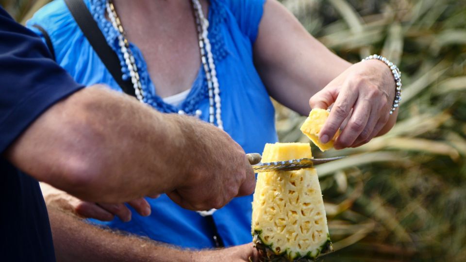 Hali'imaile: Pineapple Farm Tour - The Experience: What You Can Expect