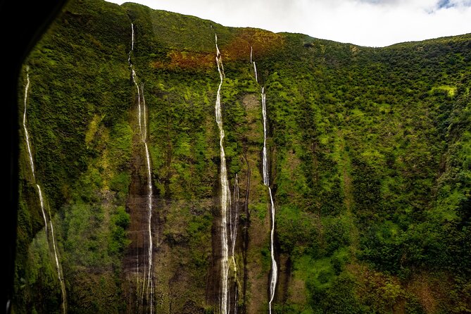 Hamakua Coast & Valleys Safari - Final Thoughts